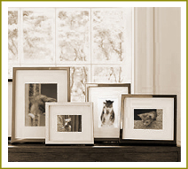 Modern Frame Co., Ltd.